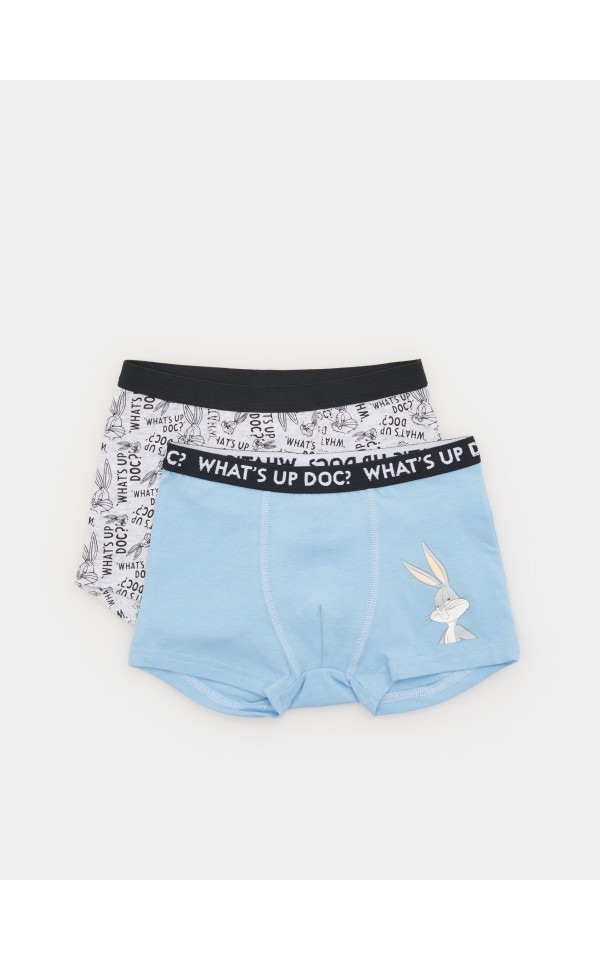Boxershorts Looney Tunes, 2er-Pack, SINSAY, 6983C-50X
